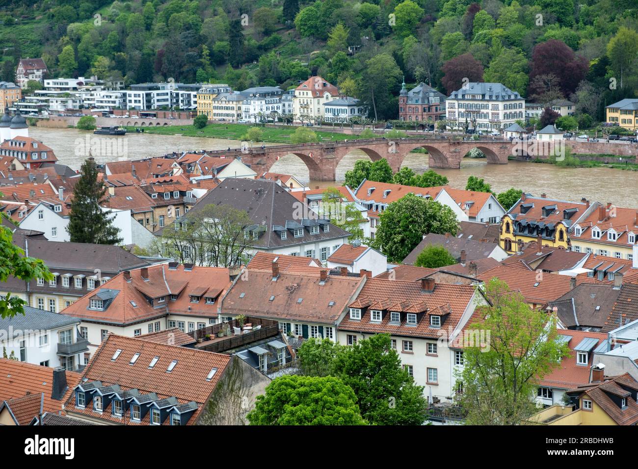 Heidelberg castle in the background hi-res stock photography and images ...