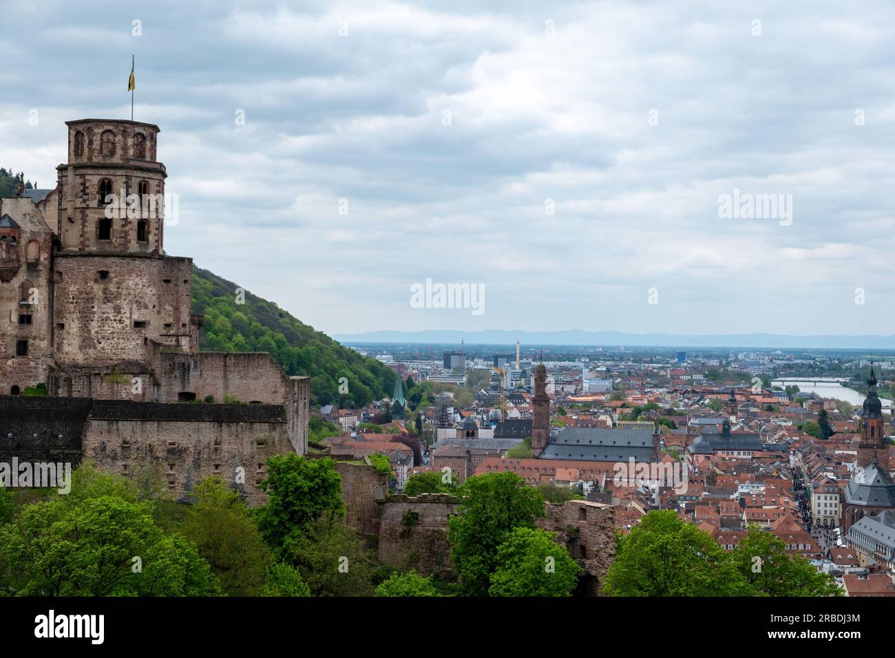Germany, aerial view of Heidelberg traditional city next to Neckar ...