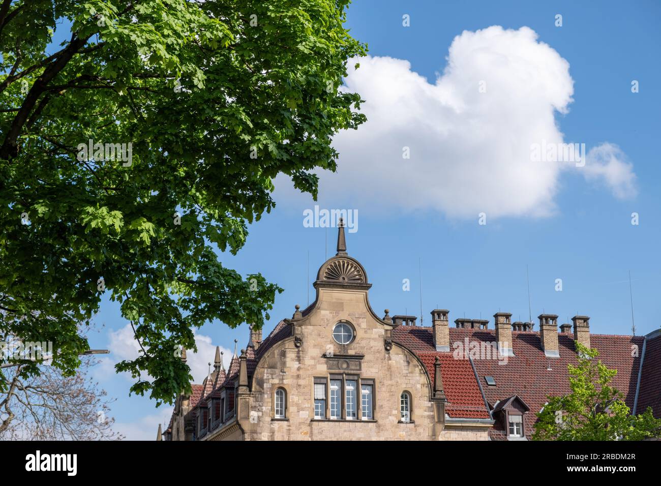 Germany, Heidelberg city. View of tile roof building, with many chimney ...