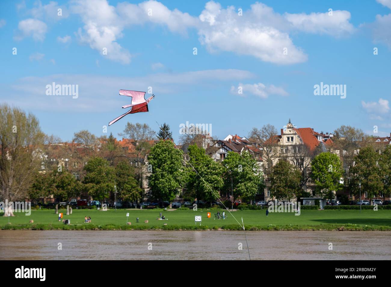 Germany, destination Heidelberg city. People relaxing at Neckarwiese ...