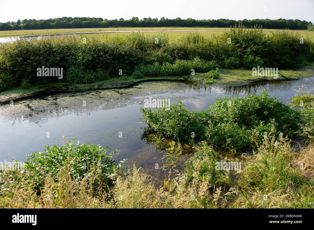 Dorney, Buckinghamshire, UK. 16th June, 2023. Flooding on Dorney Common ...