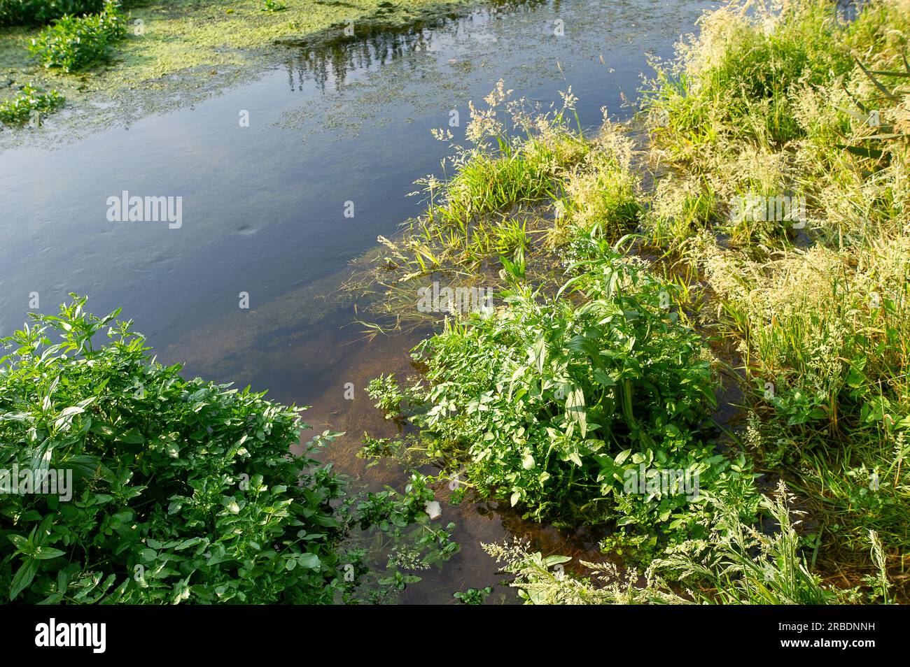 Dorney, Buckinghamshire, UK. 16th June, 2023. Flooding on Dorney Common ...