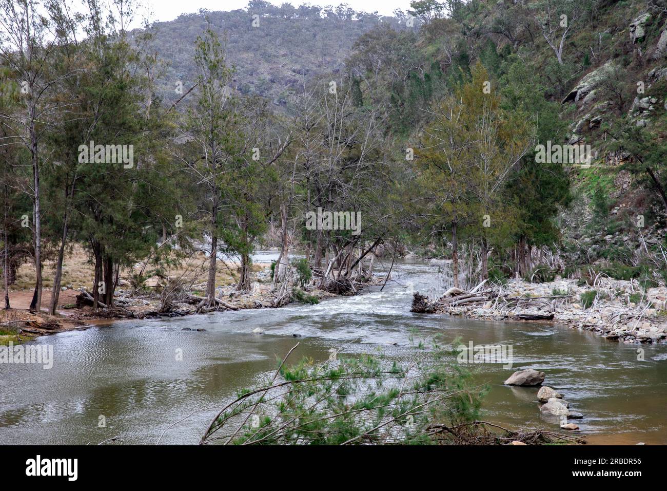 The Macquarie River - Wambuul is part of the Macquarie–Barwon catchment ...