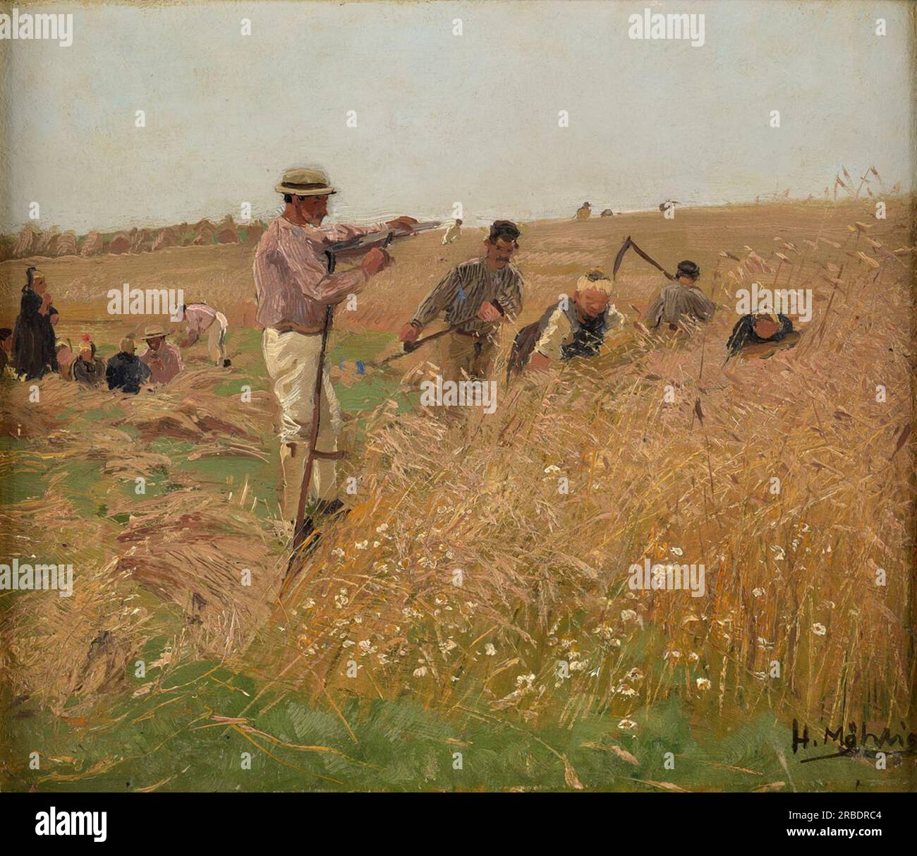 Harvest field by Hugo Mühlig Stock Photo - Alamy