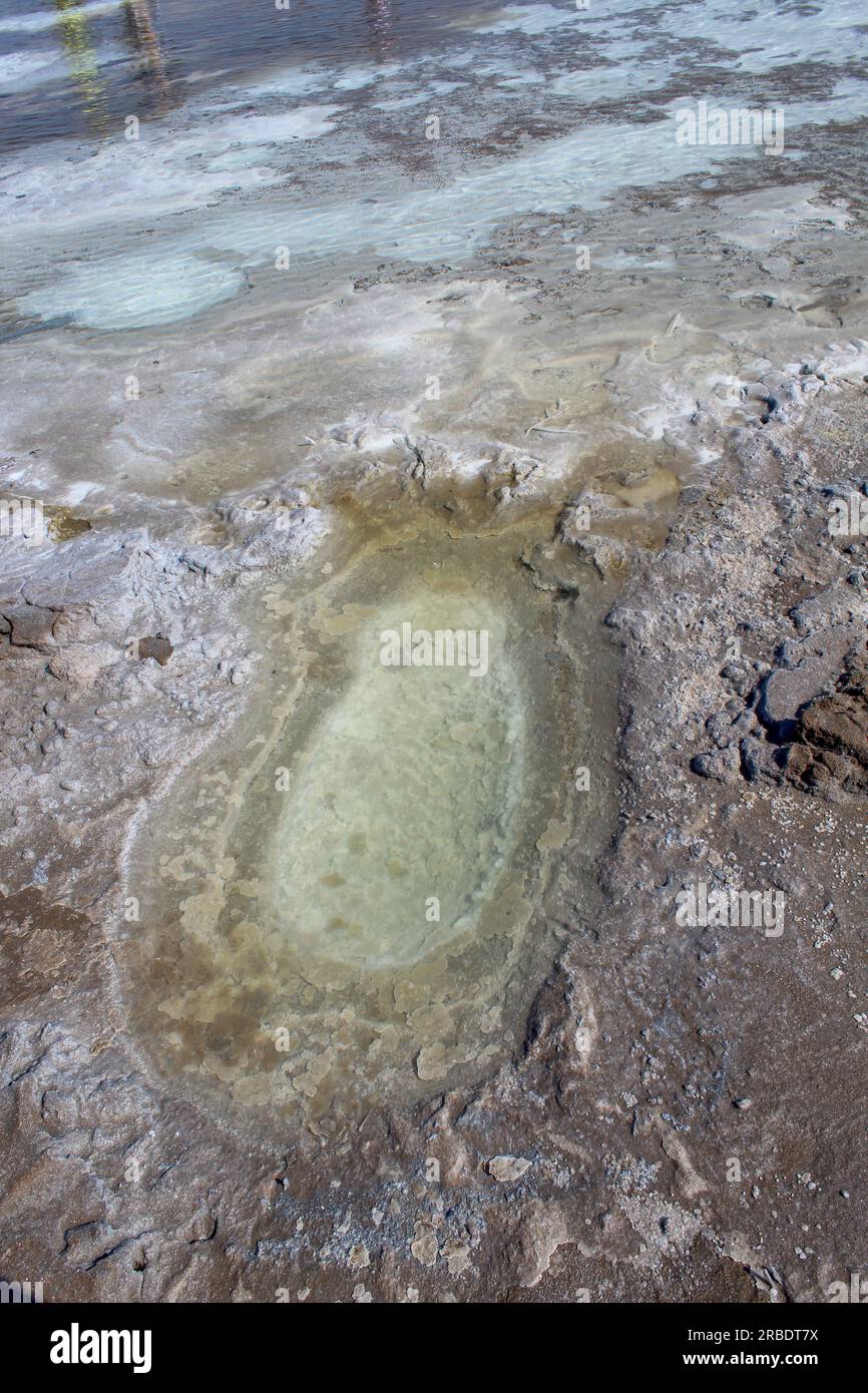 The stones are covered with a crust of salt on the shores of the salar ...