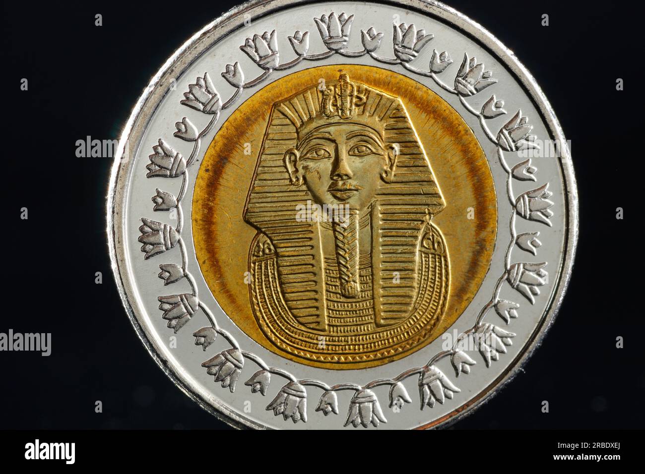 Tutankhamun one pound coin hi-res stock photography and images - Alamy