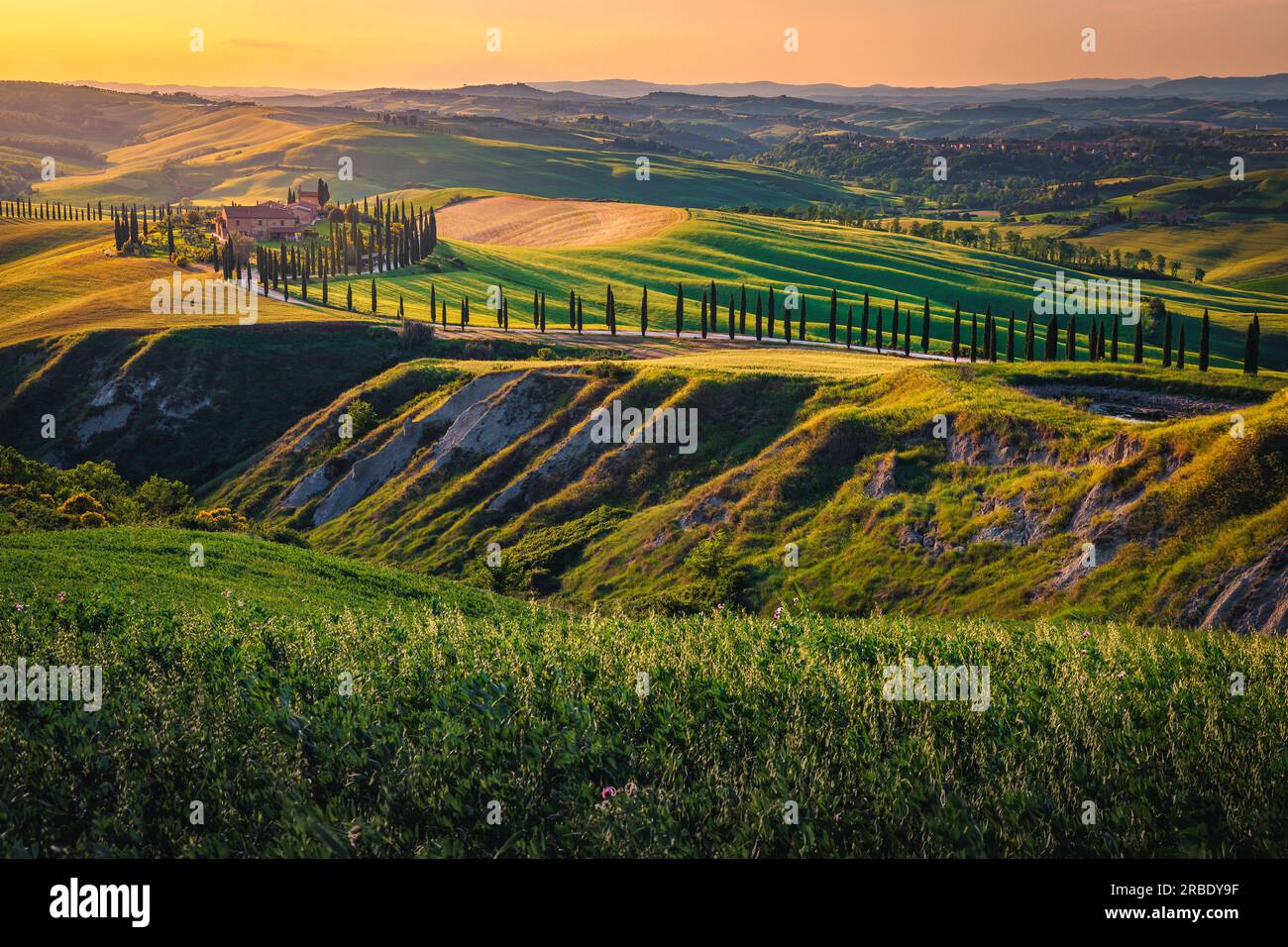 House in the grain fields at sunset. Rural road decorated with ...