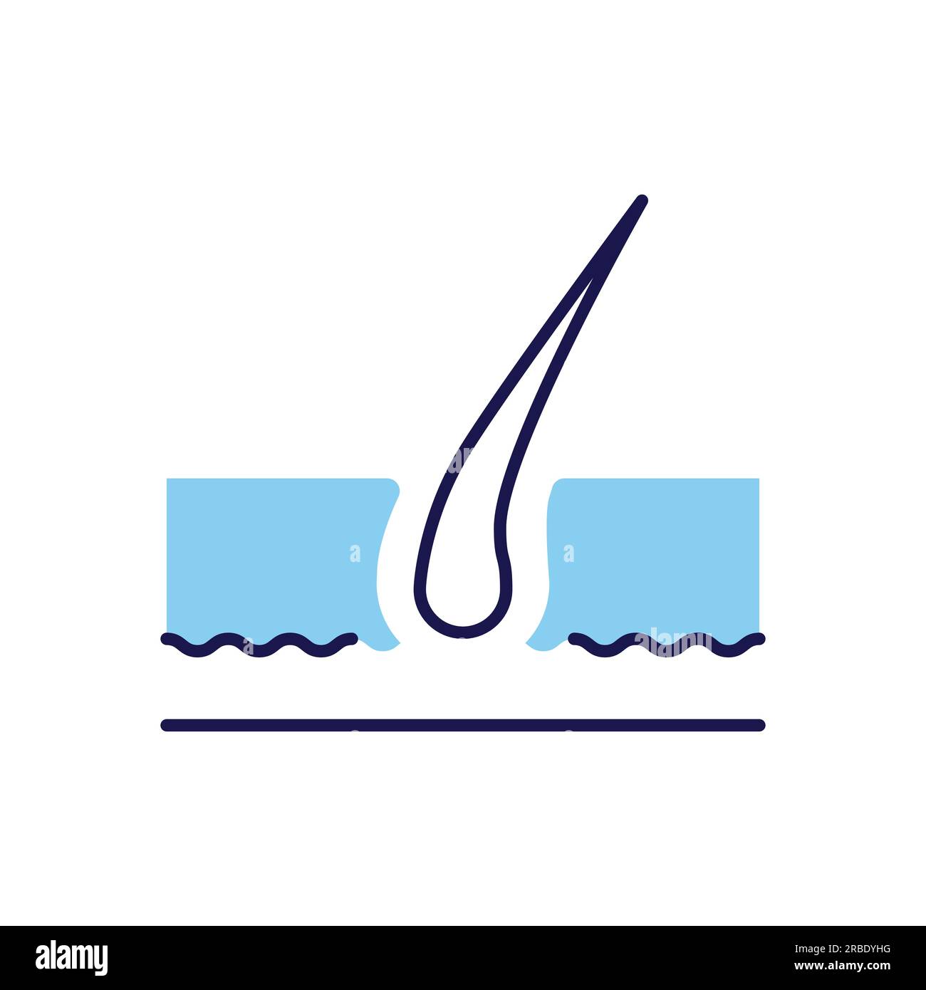 White line human hair follicle hi-res stock photography and images - Alamy
