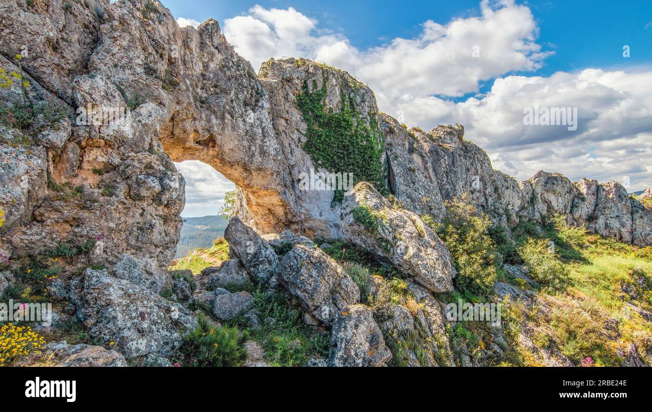 Entire crest view hi-res stock photography and images - Alamy