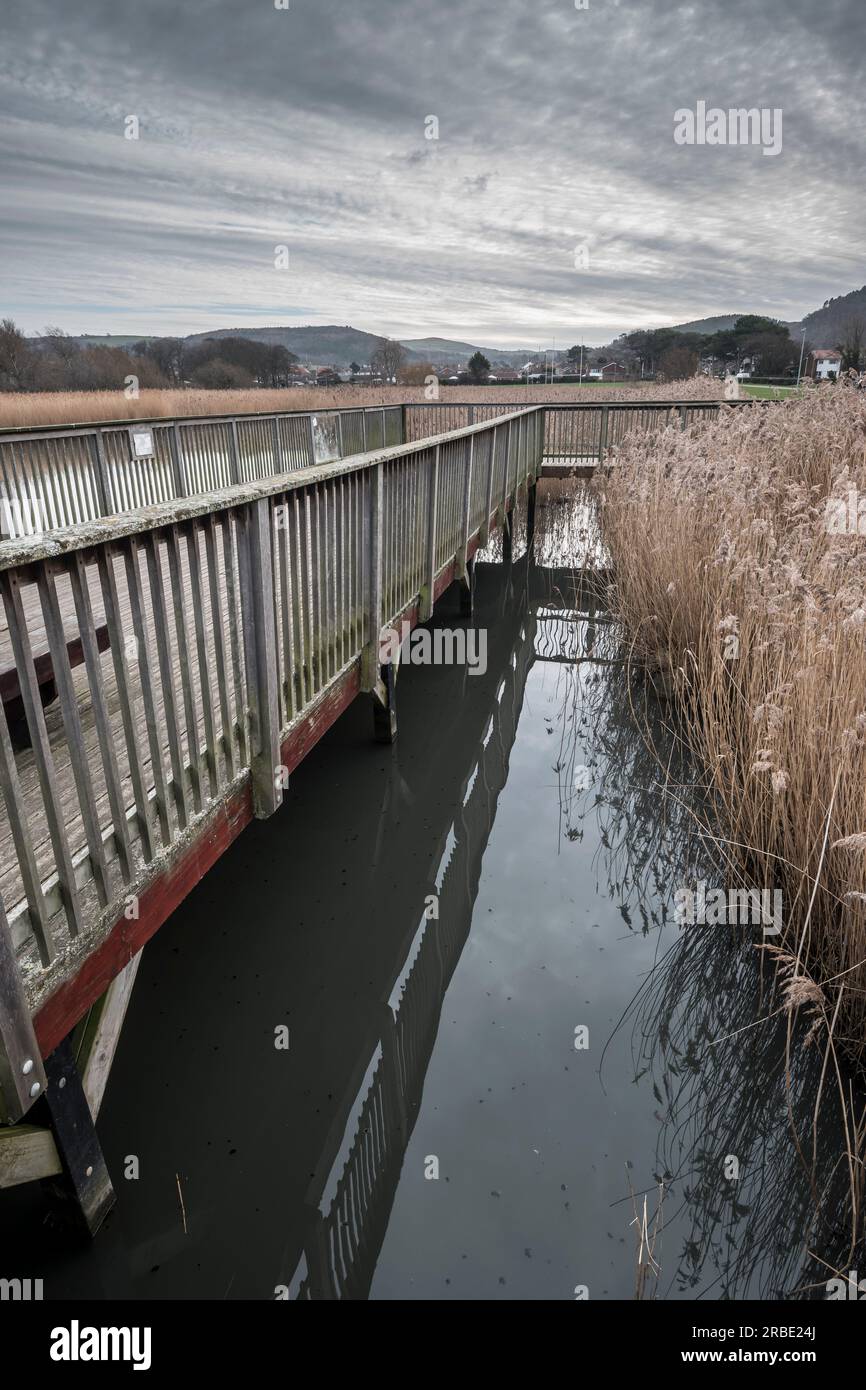 Pentre Mawr park wildlife pond in Abergele on the North Wales coast ...