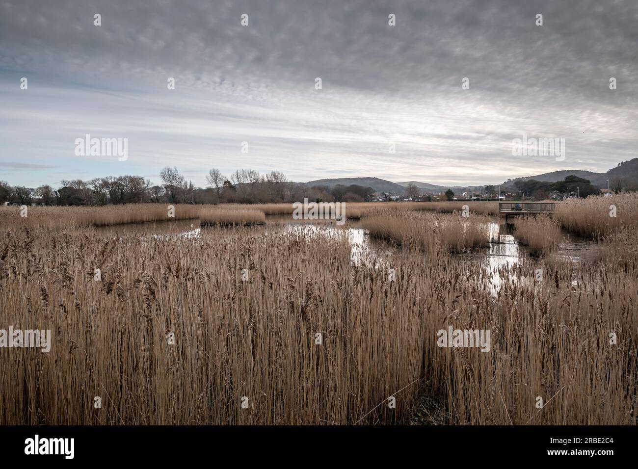 Pentre Mawr park wildlife pond in Abergele on the North Wales coast ...
