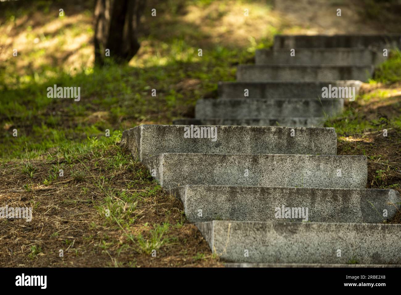 Granite staircase on the path of an urban park with grass and trees ...