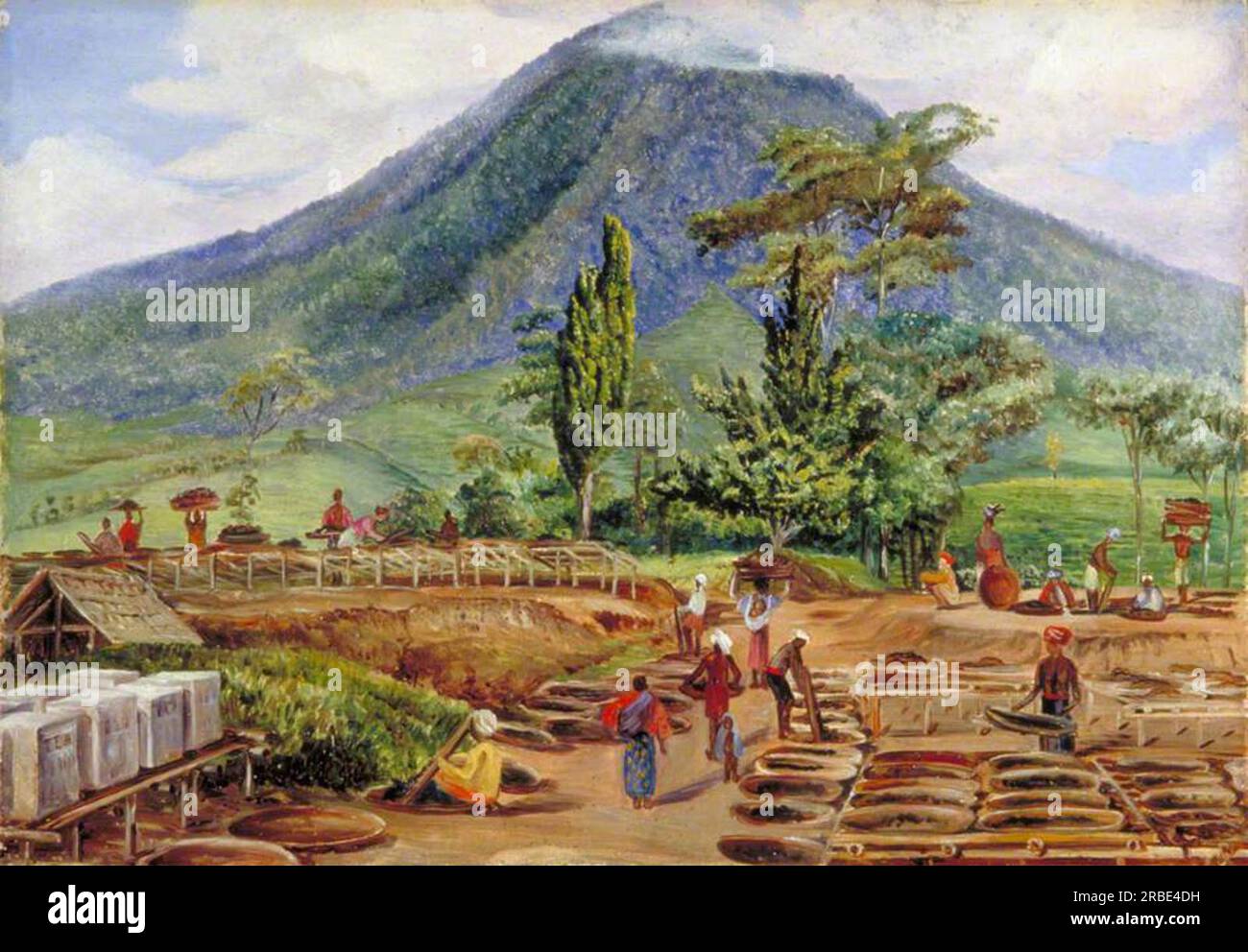 Tea-Drying in Mr Hölle's Establishment, Java 1876 by Marianne North ...
