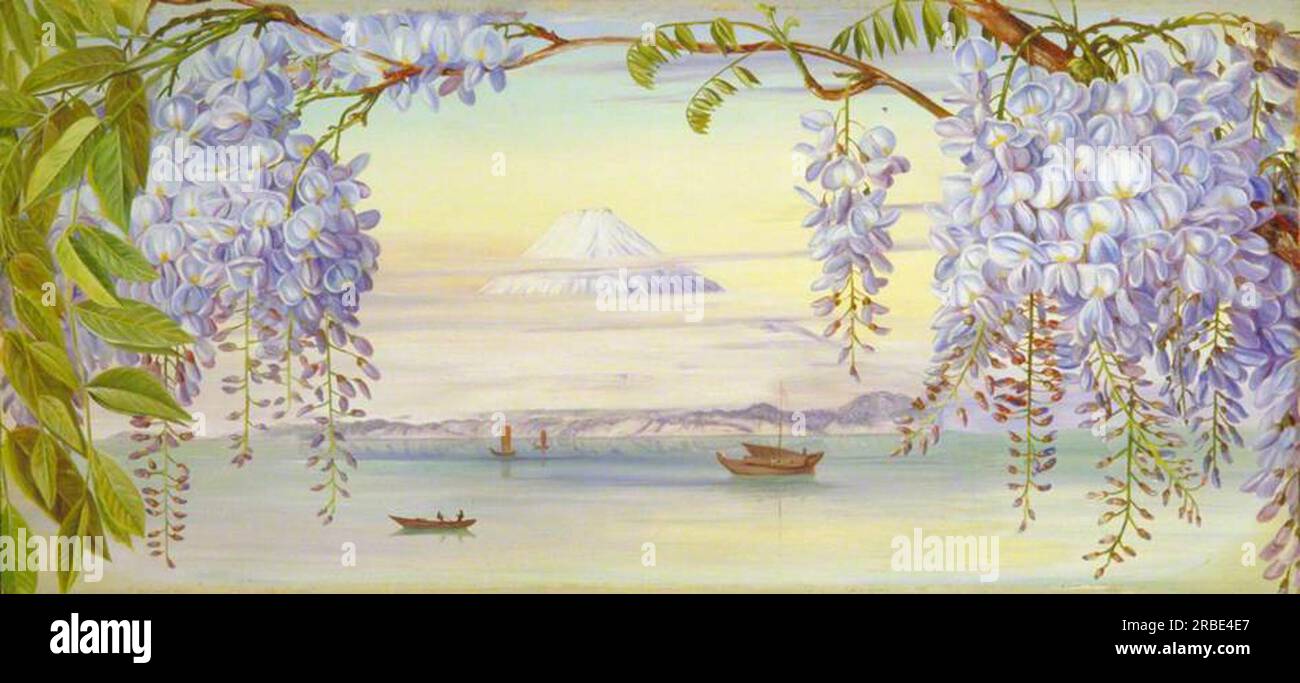 Distant View of Mount Fujiyama, Japan, and Wistaria 1876 by Marianne ...