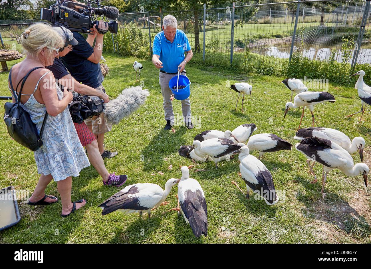 Erfde, Germany. 09th July, 2023. Jürgen Pelch, stork father from ...