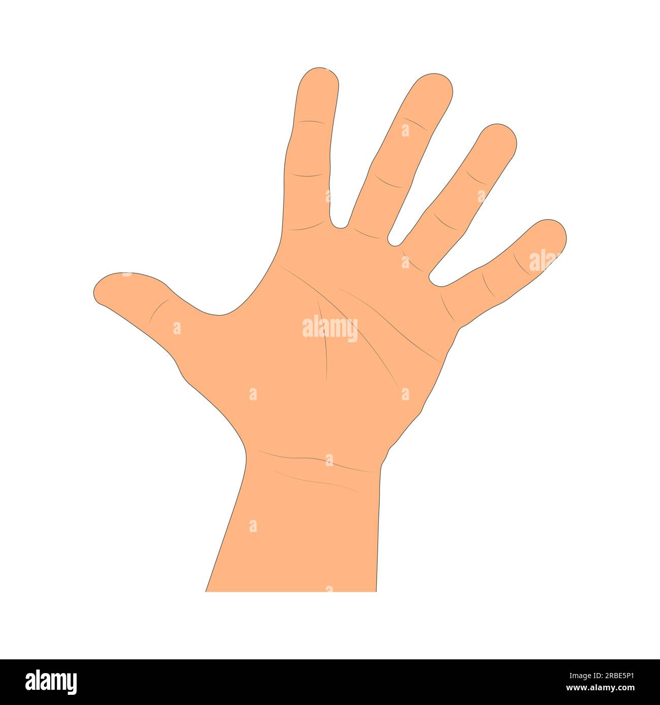 Drawing cartoon human arm isolated on white background. Drawn hand palm ...