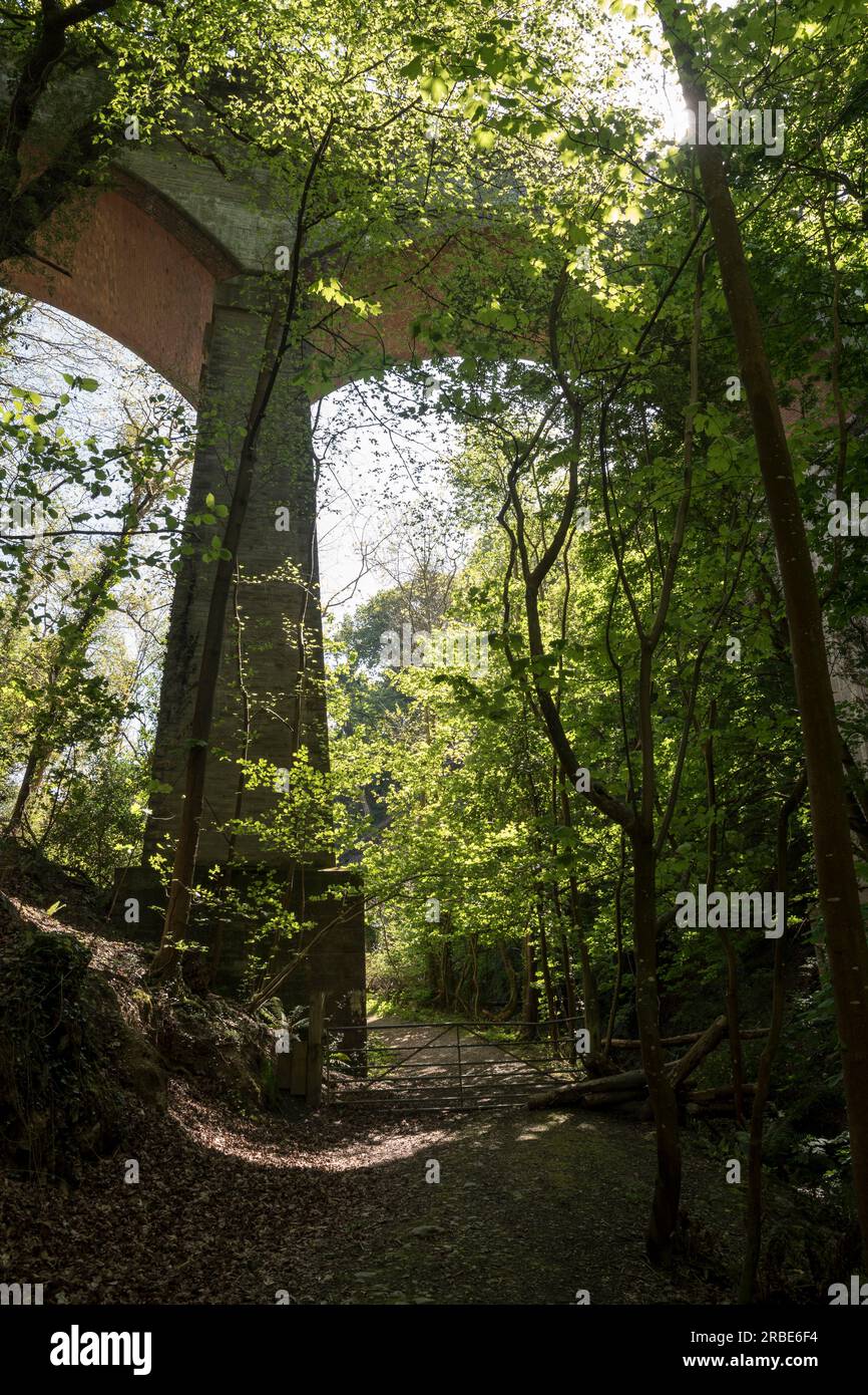 A bridge built to cross Gele gorge in June 1925 to access Abergele ...