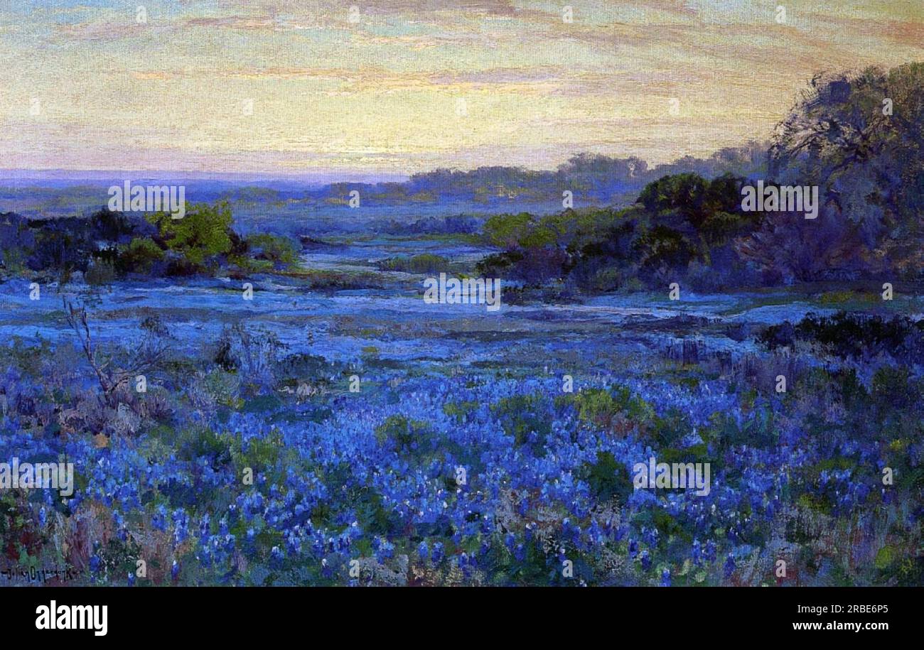 Bluebonnet scene hi-res stock photography and images - Alamy