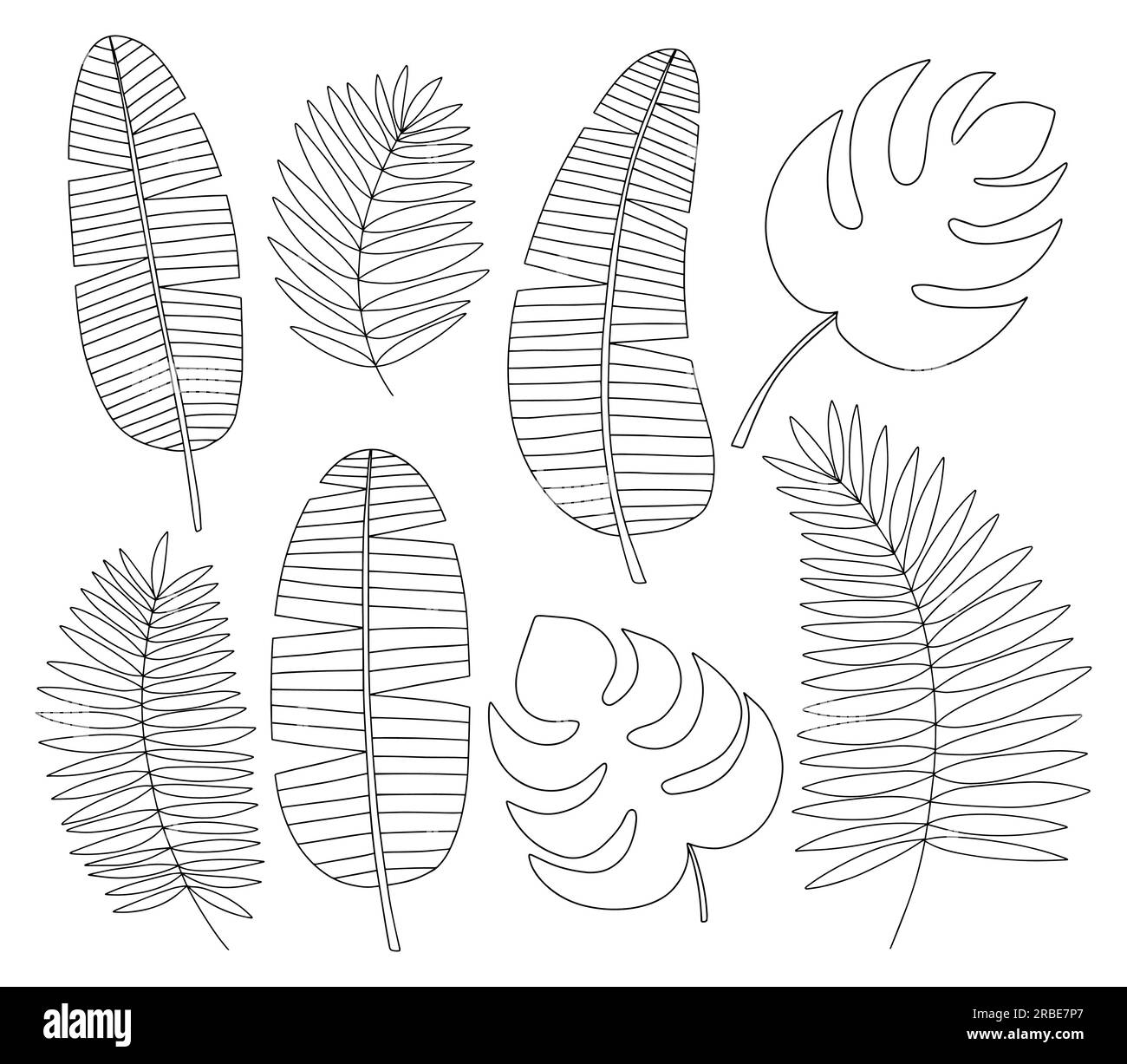 Doodle banana line plant Black and White Stock Photos & Images - Alamy