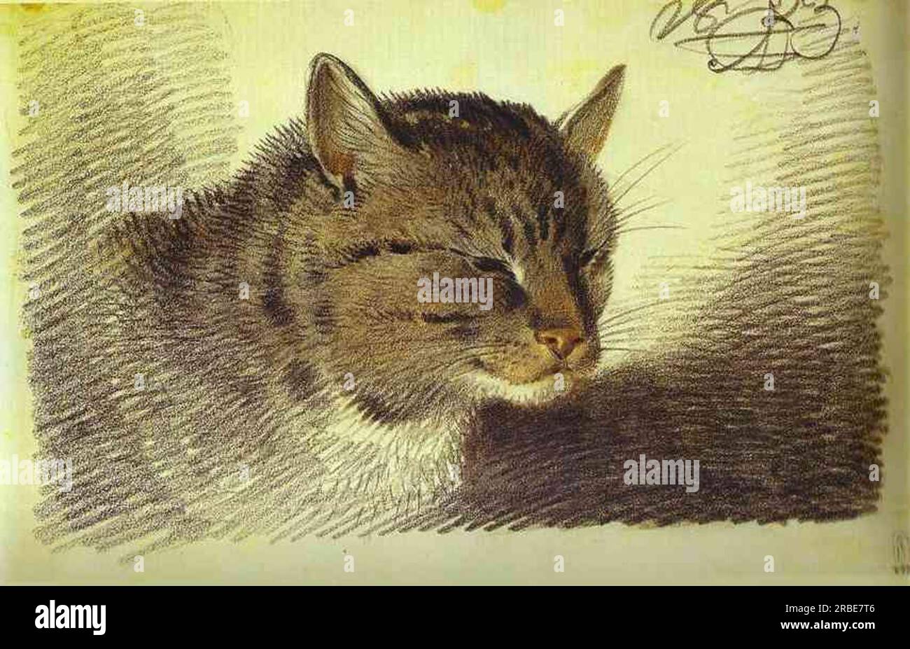 Alexander orlowski hi-res stock photography and images - Alamy