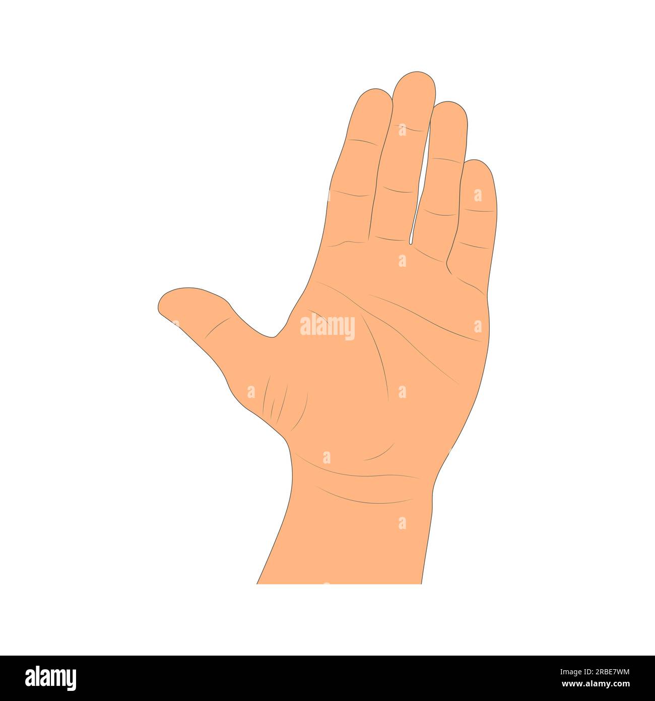 Drawing cartoon human arm isolated on white background. Drawn hand palm ...