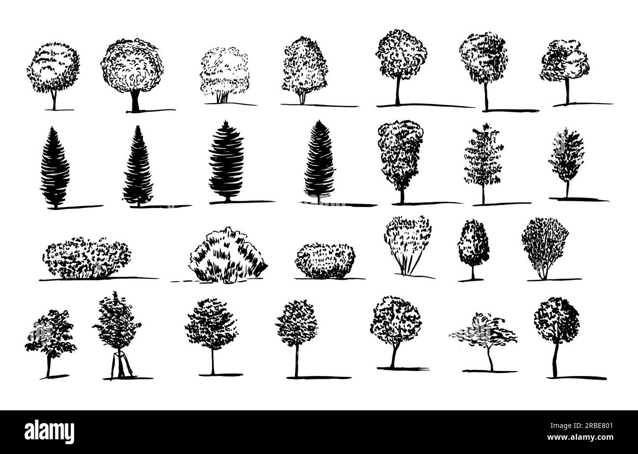 Different kinds of tree vector sketch set Stock Vector Image & Art - Alamy