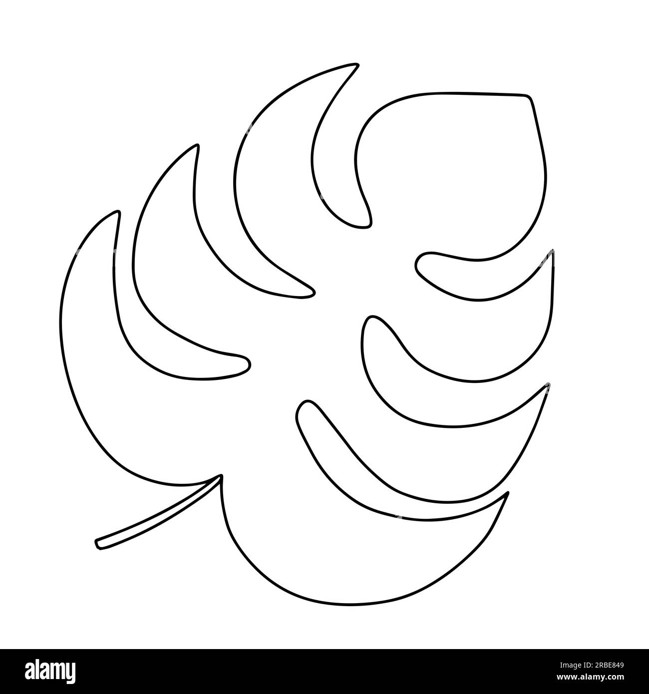 Monstera leaf doodle sketch Stock Vector Image & Art - Alamy