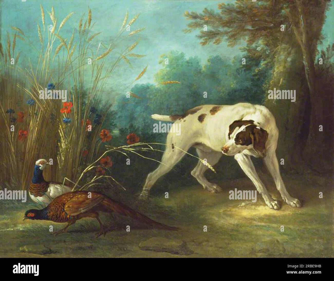 Dog Pointing Pheasants by Jean-Baptiste Oudry Stock Photo - Alamy Dog Pointing Pheasants by Jean-Baptiste Oudry Stock Photo - Alamy