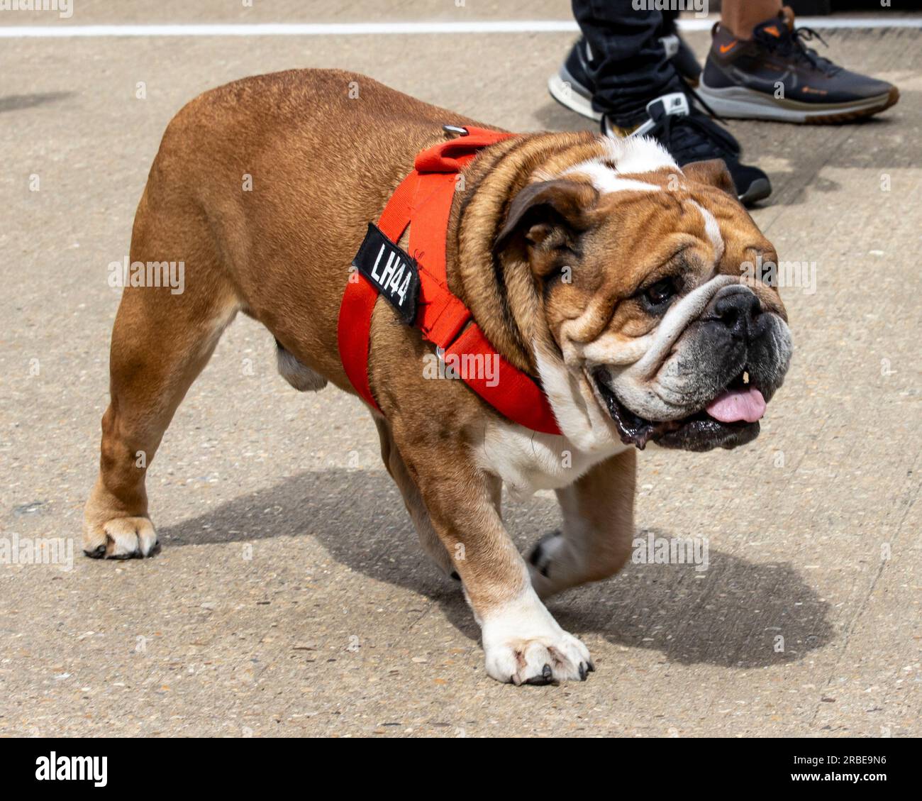 9th July 2023: Silverstone Circuit, Northamptonshire, England: Formula ...