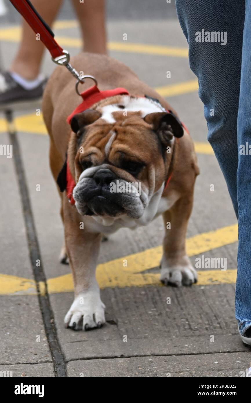 9th July 2023: Silverstone Circuit, Northamptonshire, England: Formula ...