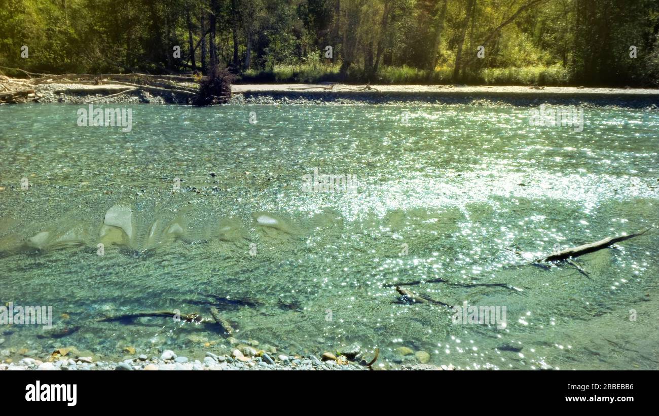small clear cold river with shingle stones in Arkhyz mountain ridge ...