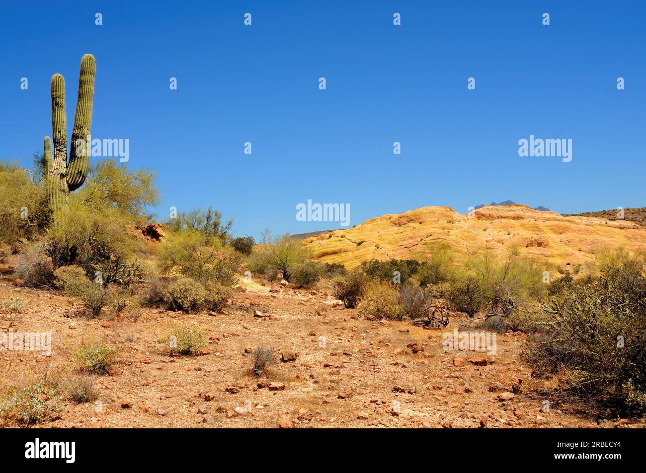 Along the Apache trail Sonora desert Arizona mountains Stock Photo - Alamy