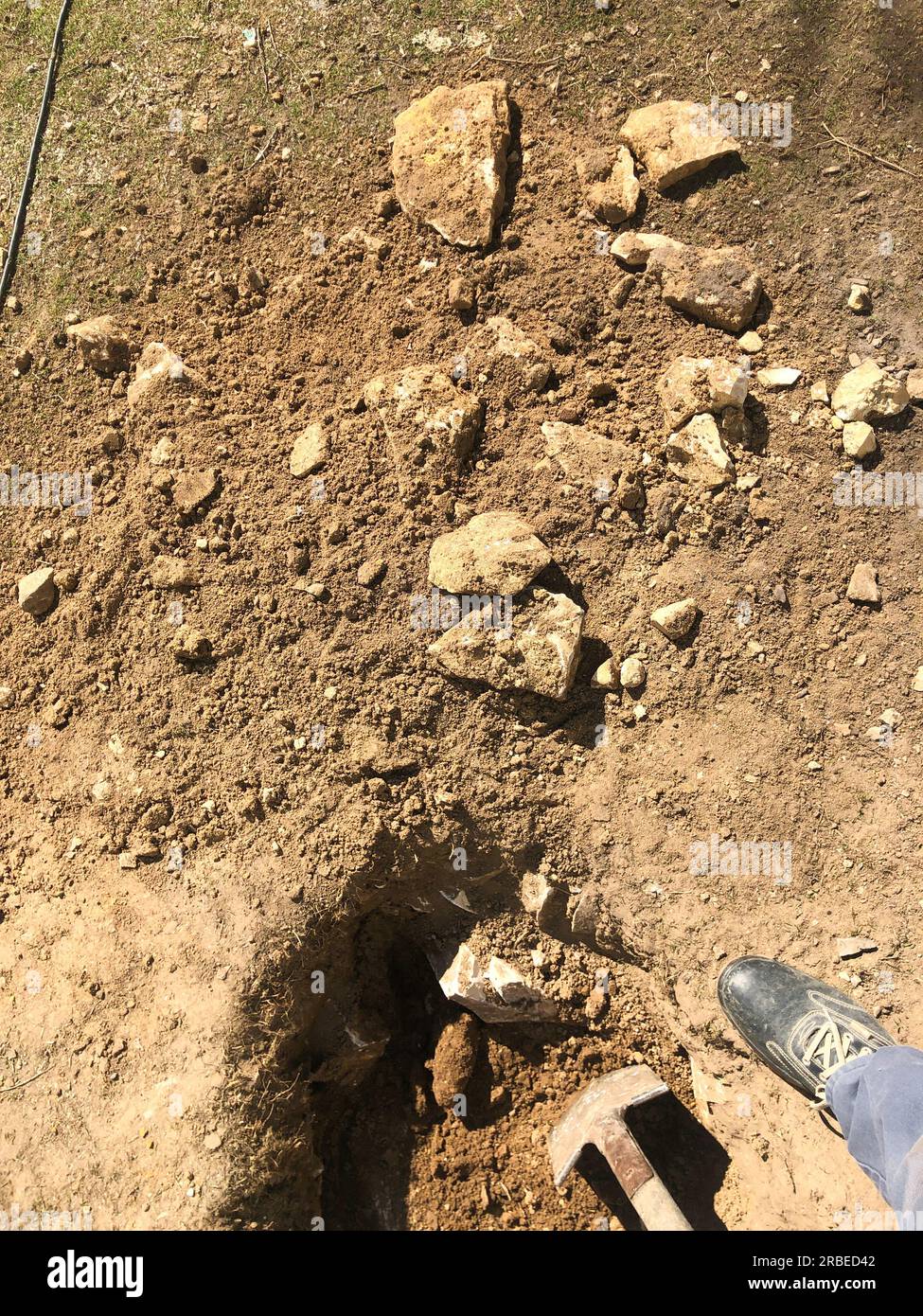 dig in the dried up leaning ground with stones with a spade Stock Photo ...