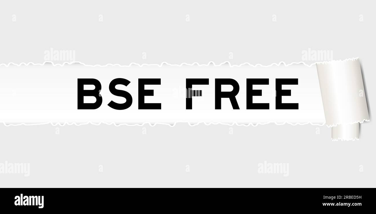 Ripped gray paper background that have word BSE (bovine spongiform ...