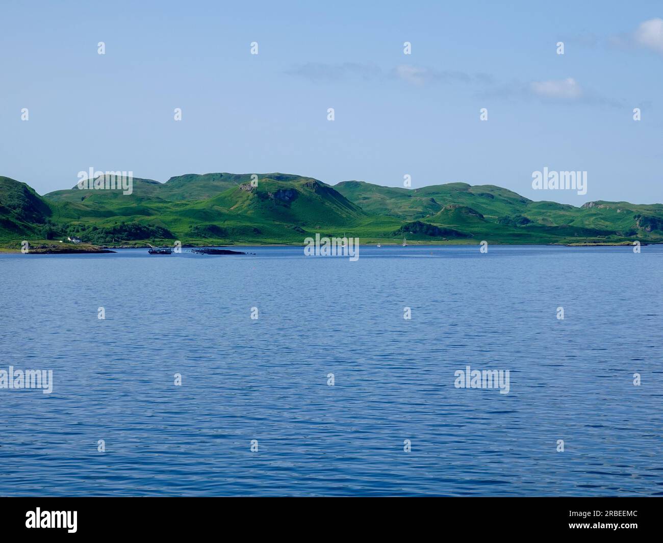 Green hills, rocky coast, grass covered Isle of Kerrera, Inner Hebrides ...