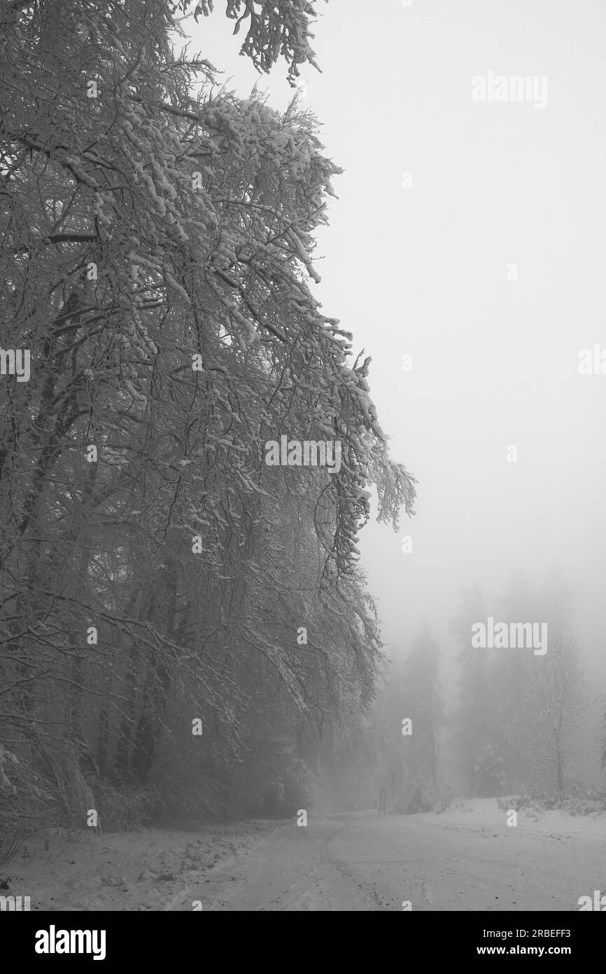 Foggy picture Black and White Stock Photos & Images - Alamy