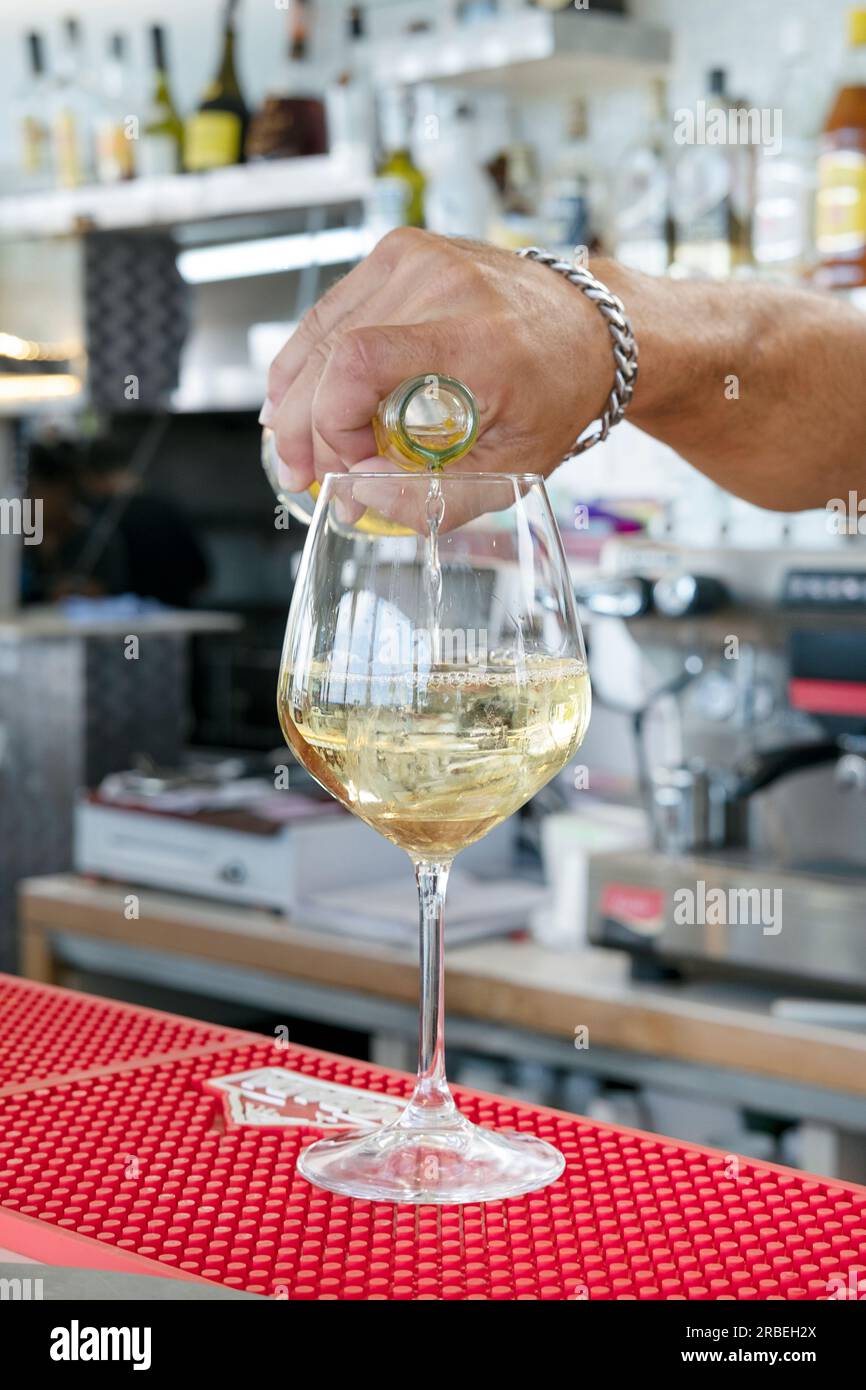Busy bartender pouring white wine in a tall glass resting on the ...