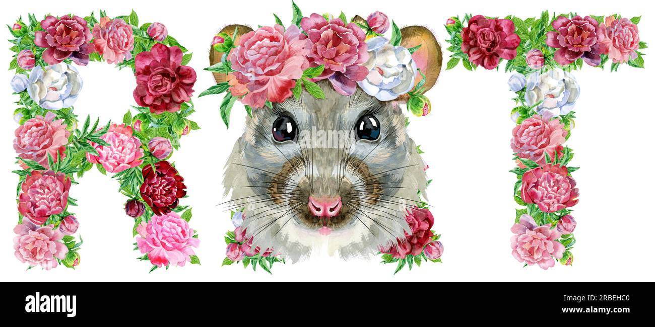 Word RAT of watercolor flowers, isolated hand drawn on a white ...