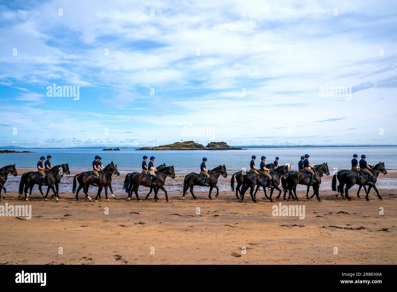 Members of the Household Cavalry, Blues and Royals, exercise their ...