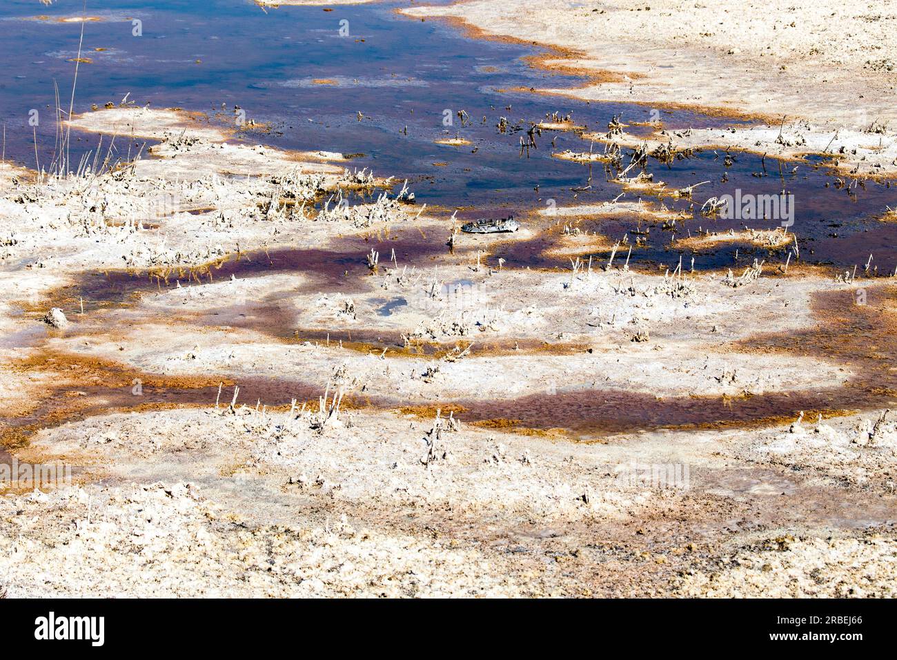 Salt froth hi-res stock photography and images - Alamy