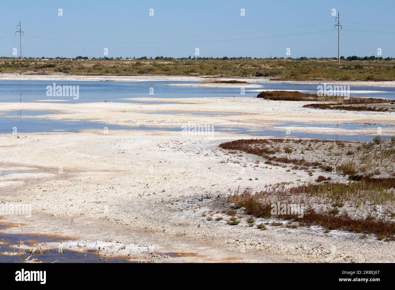 Salt froth hi-res stock photography and images - Alamy