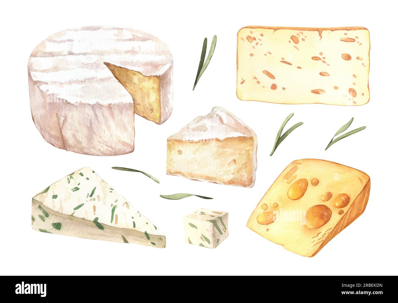 Brie drawing hi-res stock photography and images - Alamy