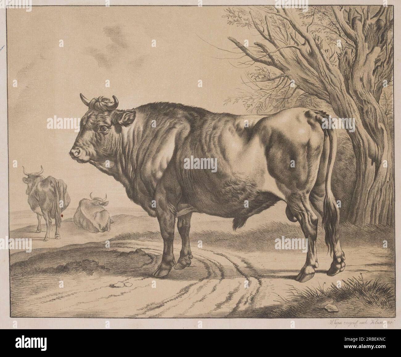 Heinrich papin hi-res stock photography and images - Alamy