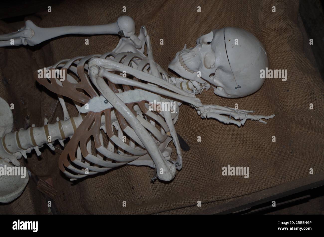 Human castle hi-res stock photography and images - Alamy