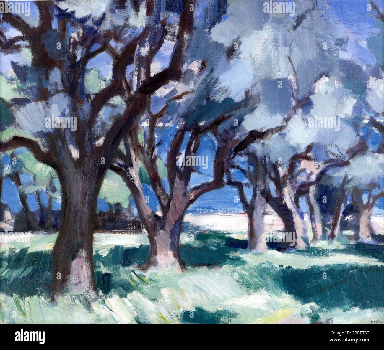 Trees, Antibes 1928 by Samuel Peploe Stock Photo - Alamy