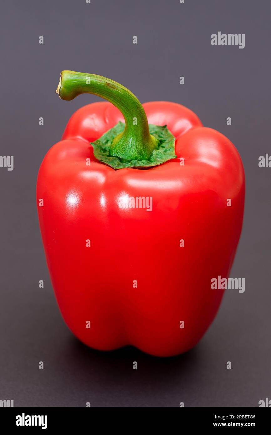 Fresh Red Sweet Bell Pepper on Black Background Stock Photo - Alamy