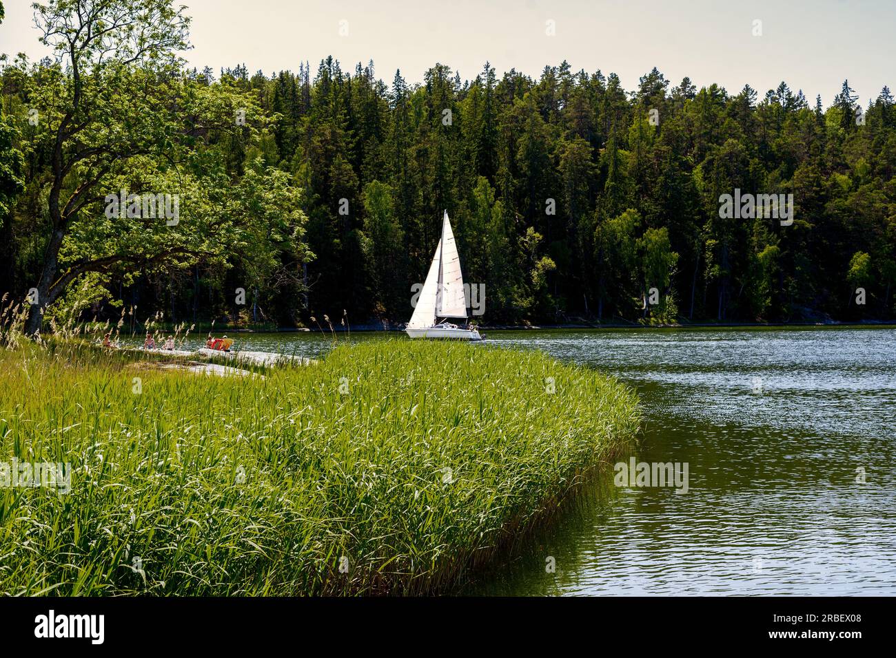 Landscape. Sailing yacht cruising on the lake in Sweden. Tourism ...