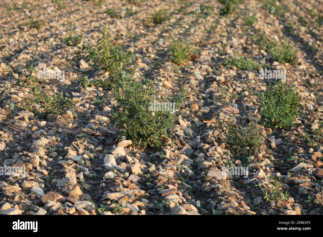 Air permeable soil hi-res stock photography and images - Alamy