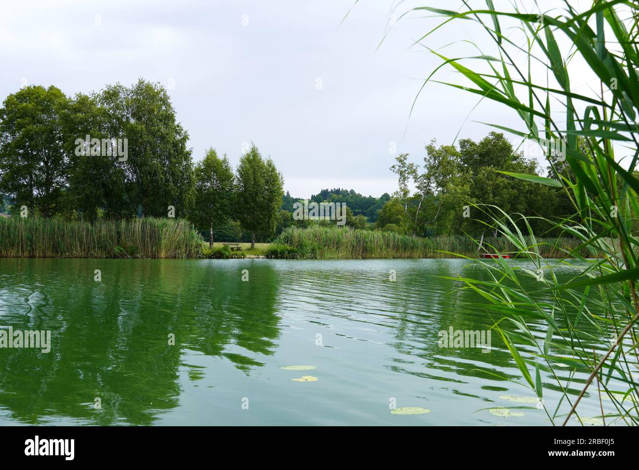 View of Ilmensee in Germany Stock Photo - Alamy