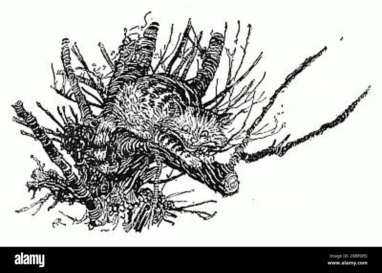 Of cheshire Cut Out Stock Images & Pictures - Alamy